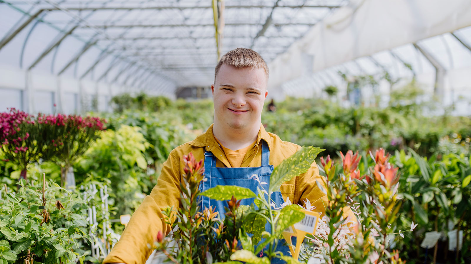 Echo Australia – Helping people reach their potential