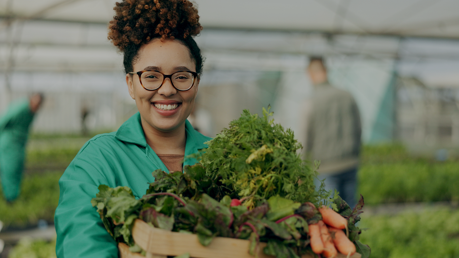 Mental Health – Echo Australia